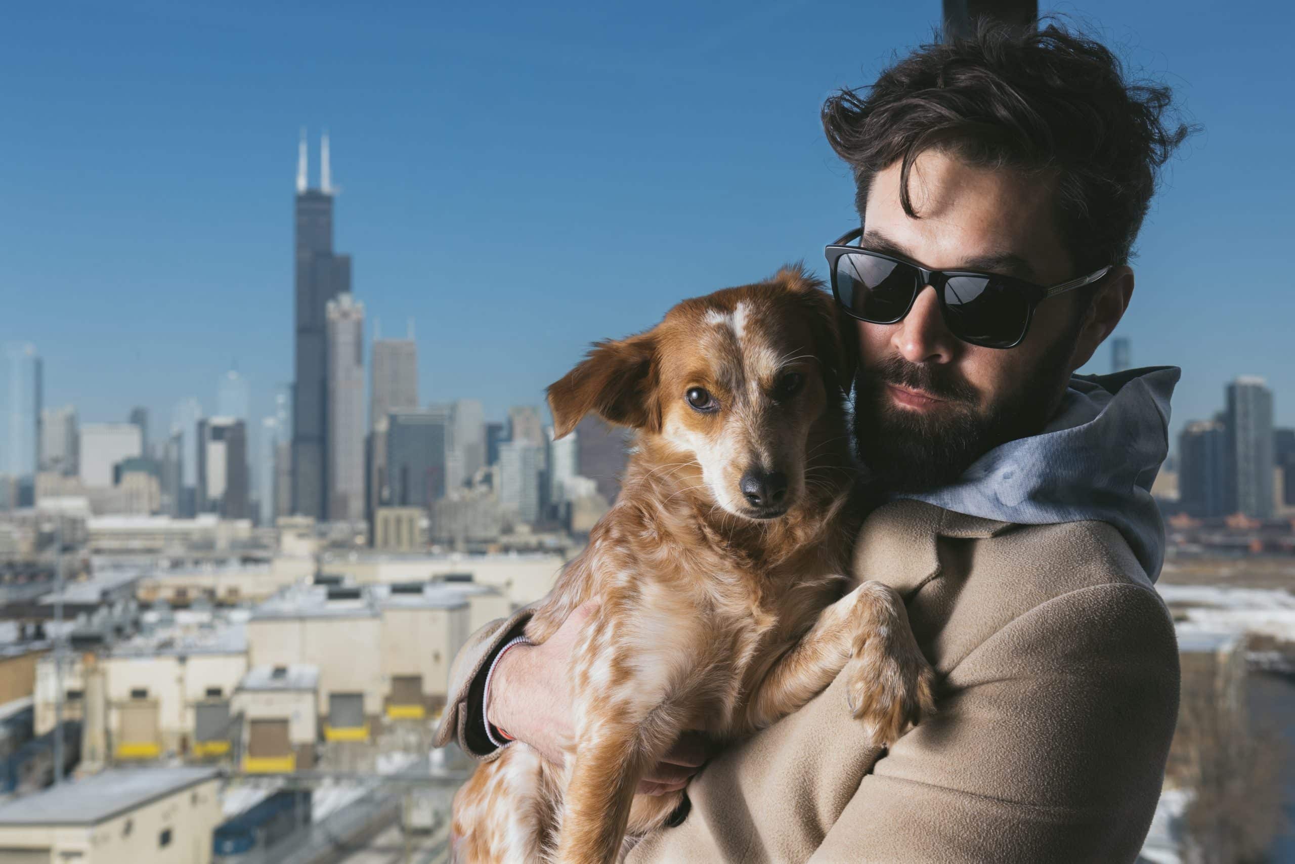 The Dogs of Chicago - Love, Dog