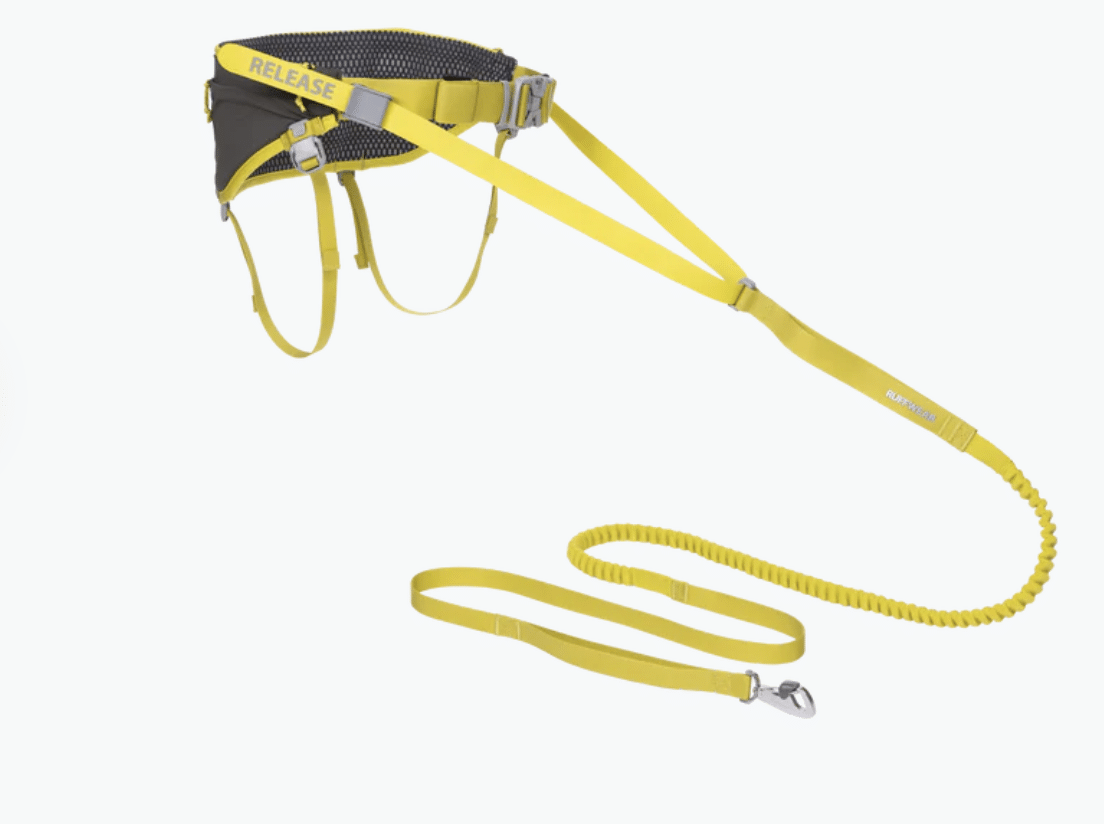 Omnijore™ Dog Joring System - Love, Dog