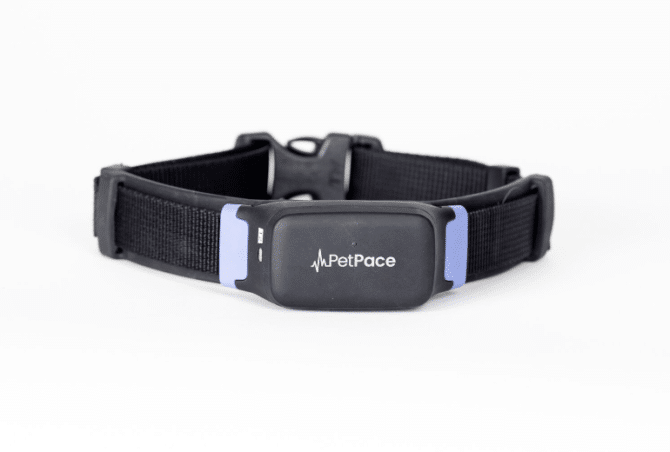 PetPace AI Smart Collar - Love, Dog