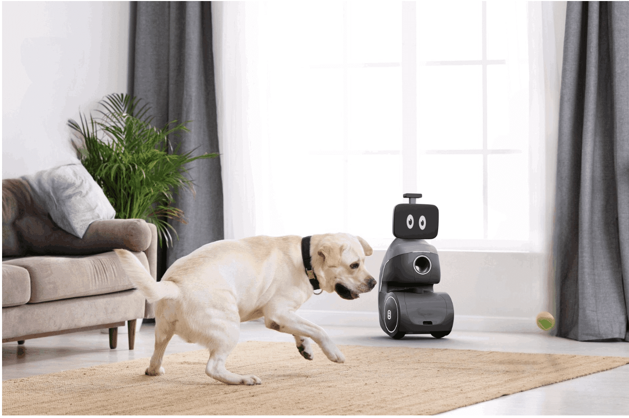 The Ultimate Guide to Home Pet Monitoring Systems - Love, Dog