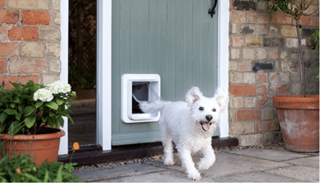 The Ultimate Guide to Home Pet Monitoring Systems - Love, Dog
